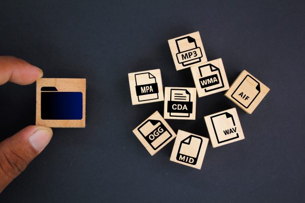 Formats de Fichier d'Image Expliqués : lexique, et utilisations